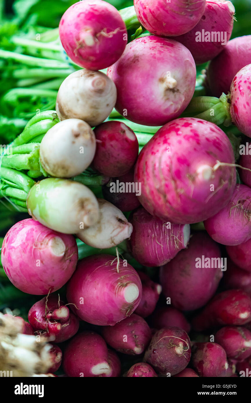 Pile of red radishes hi-res stock photography and images - Alamy