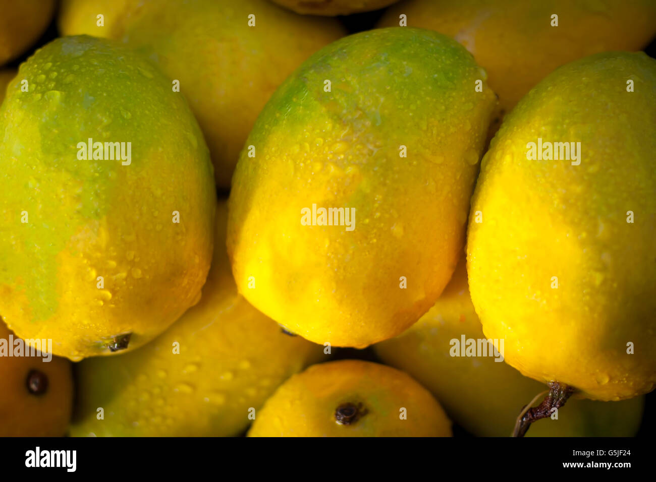 Kesar mango hi-res stock photography and images - Alamy
