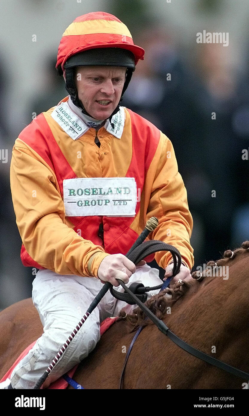 Primarosa hi-res stock photography and images - Alamy