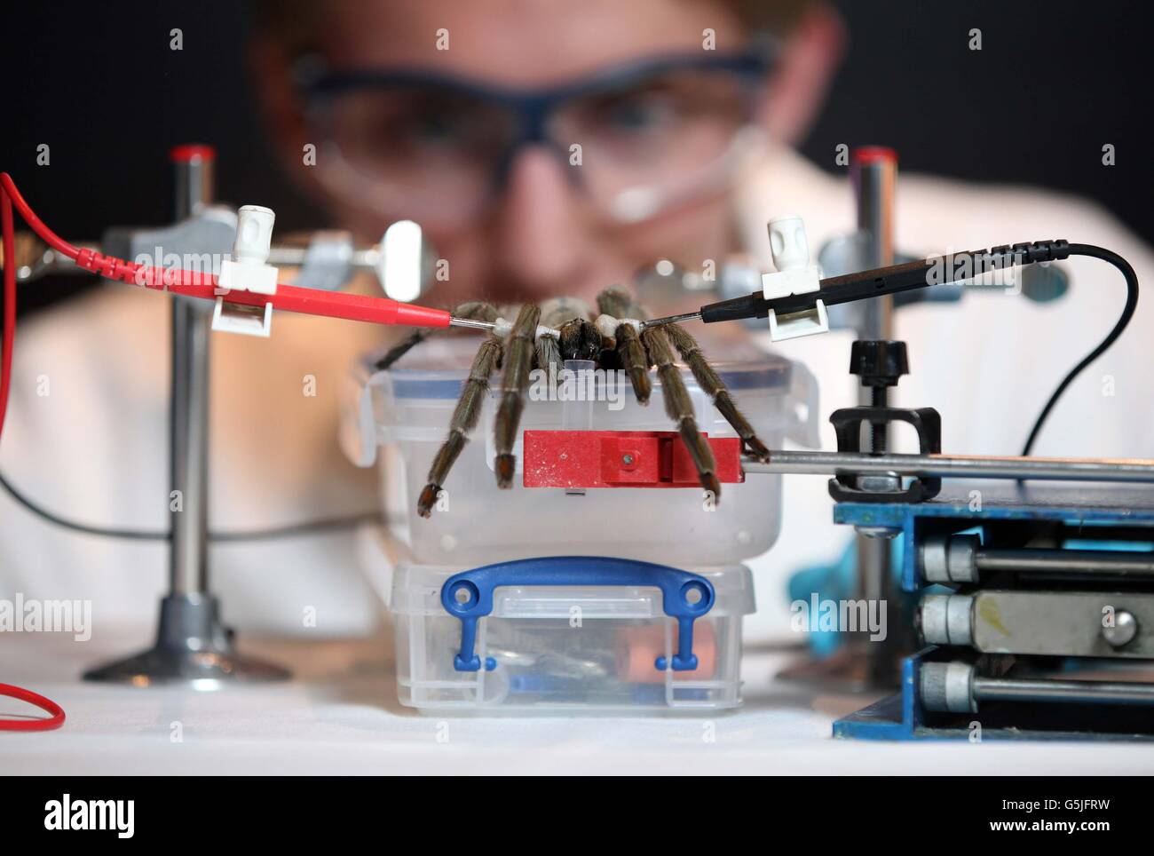 Venom extraction technician from venomtech hi-res stock photography and ...