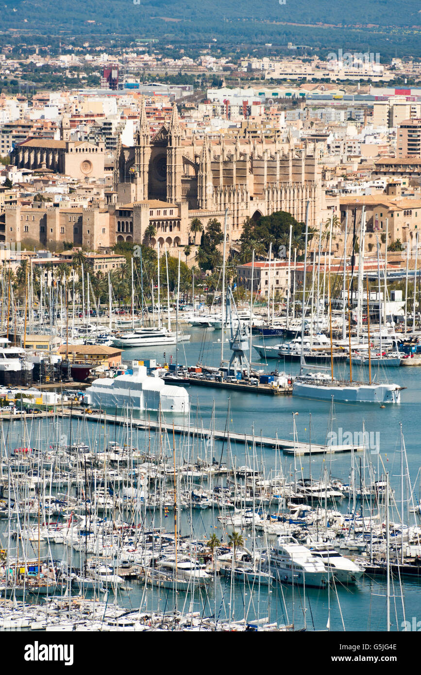 Vertical aerial cityscape of Palma, Majorca Stock Photo - Alamy