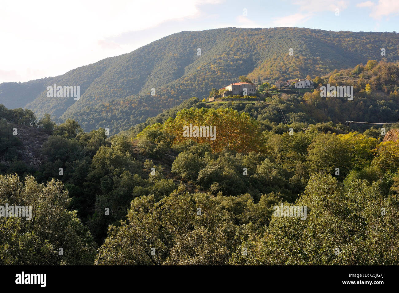 Landscape in the heart of the French Cevennes national park in full ...