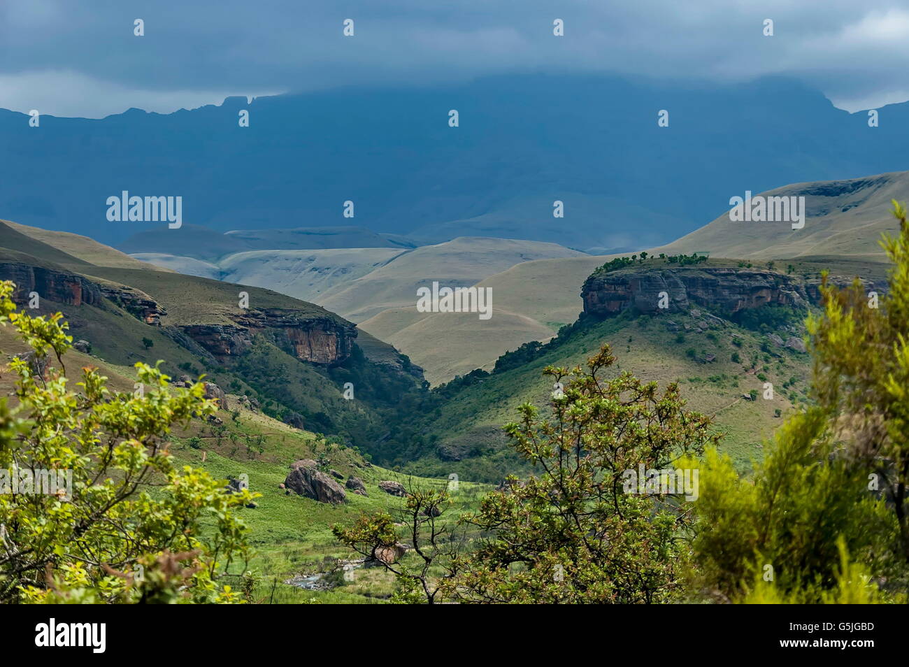 The Bushmans River valley in Giants Castle KwaZulu-Natal nature reserve ...