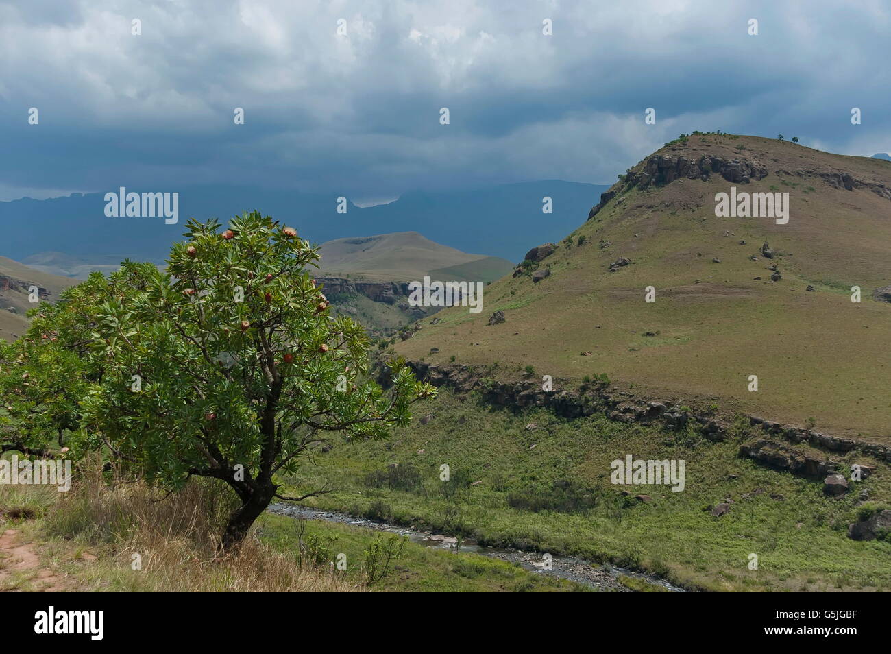 The Bushmans River valley in Giants Castle KwaZulu-Natal nature reserve ...