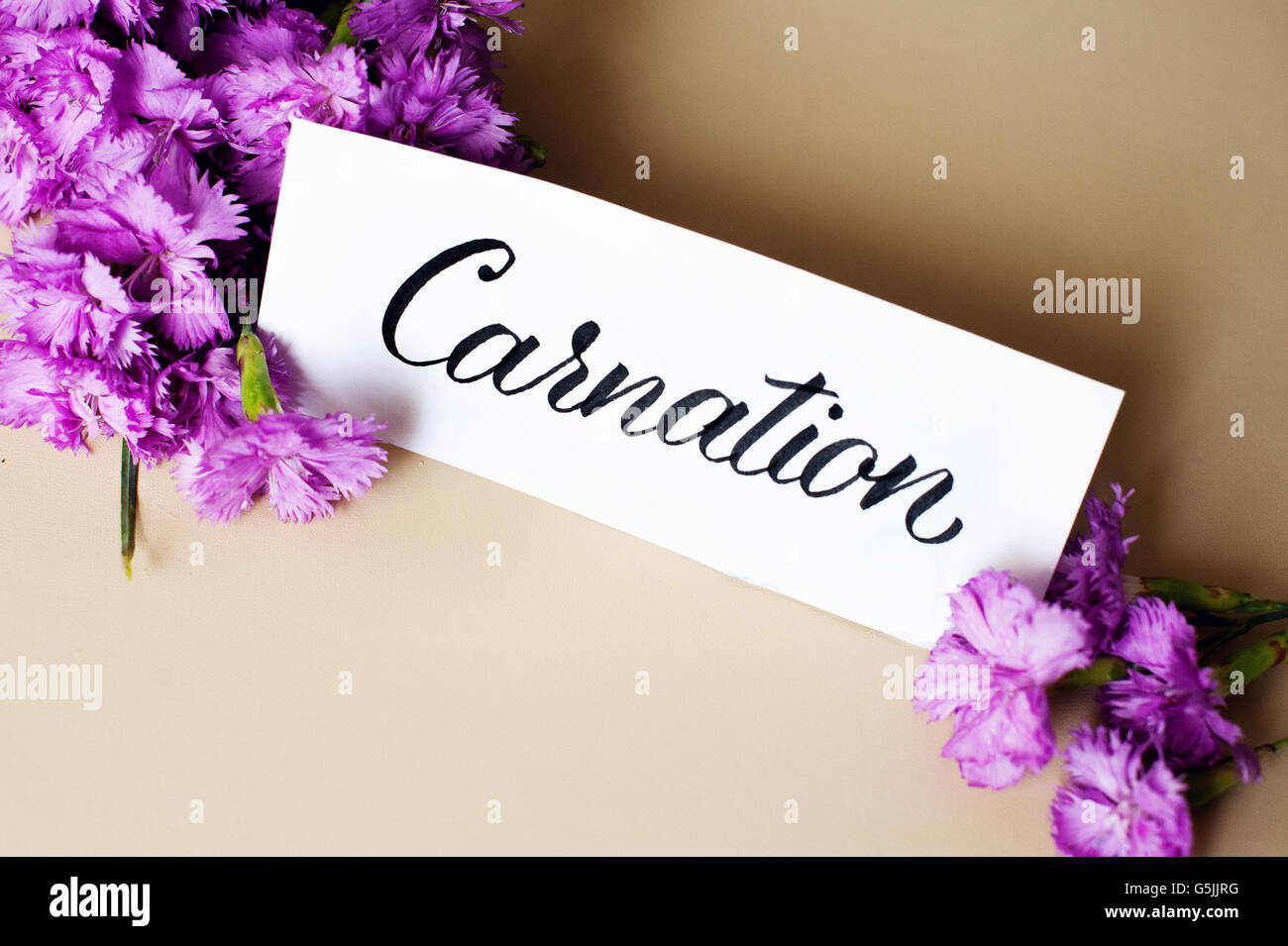 greeting card with flowers and word Carnation on light wooden ...