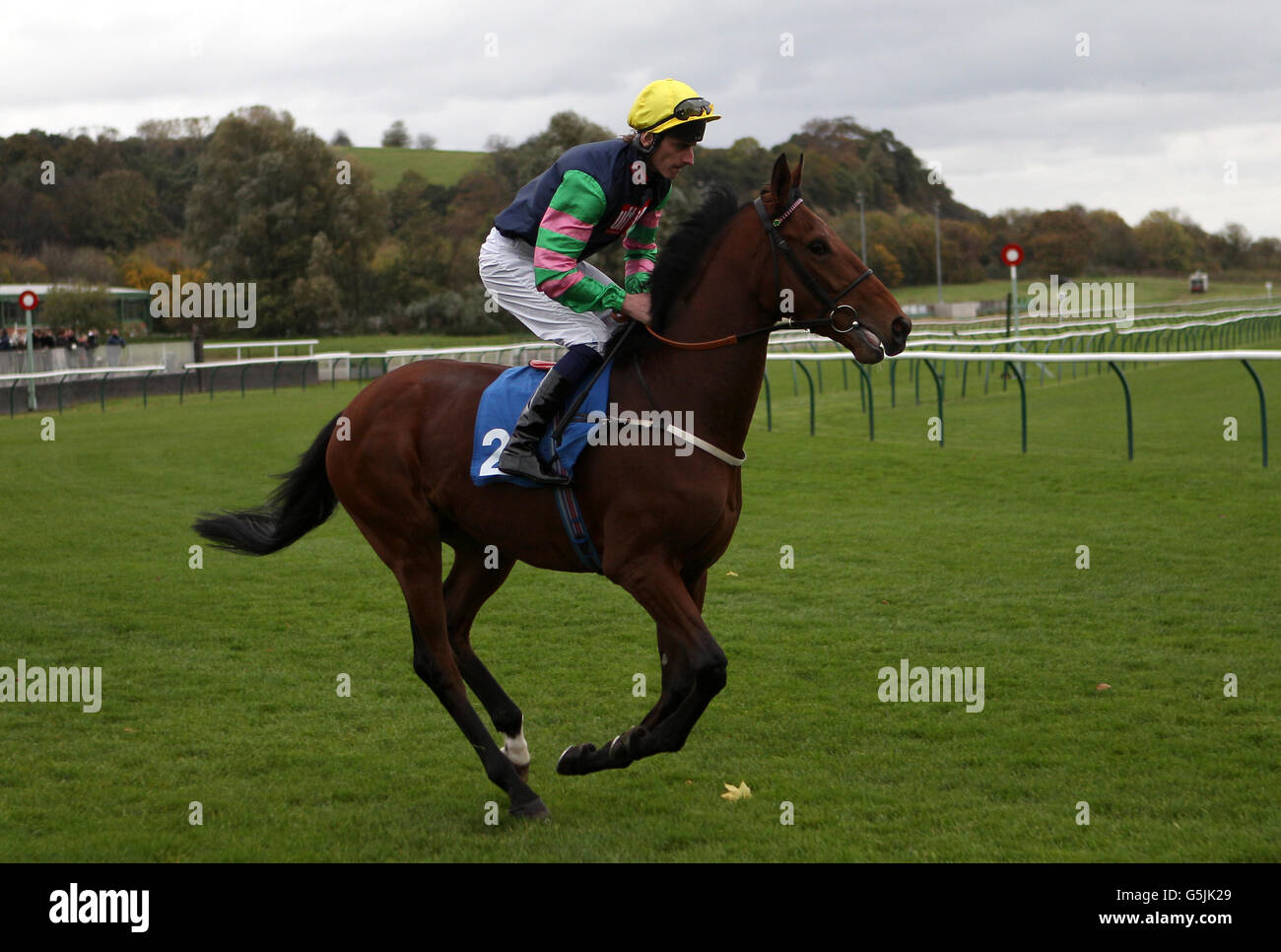 Horse Racing - Nottingham Races Stock Photo - Alamy