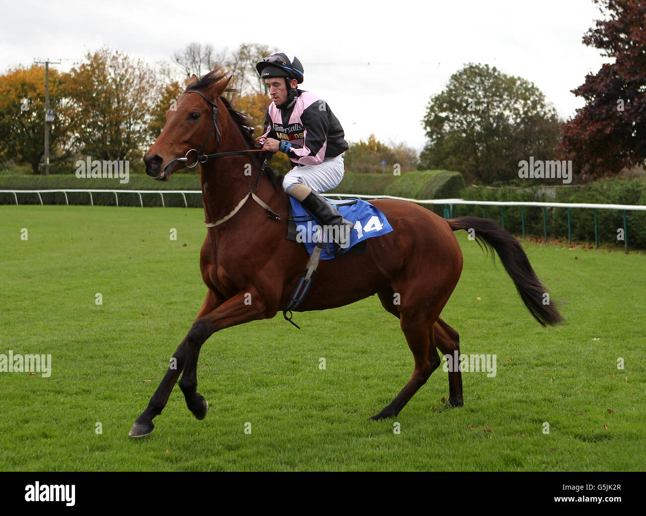 Horse Racing - Nottingham Races Stock Photo - Alamy