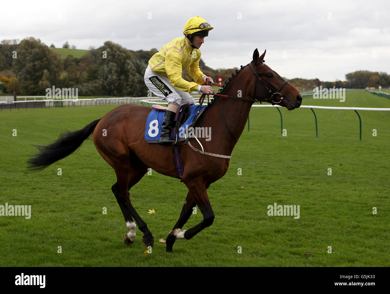 Horse racing nottingham races hi-res stock photography and images - Alamy