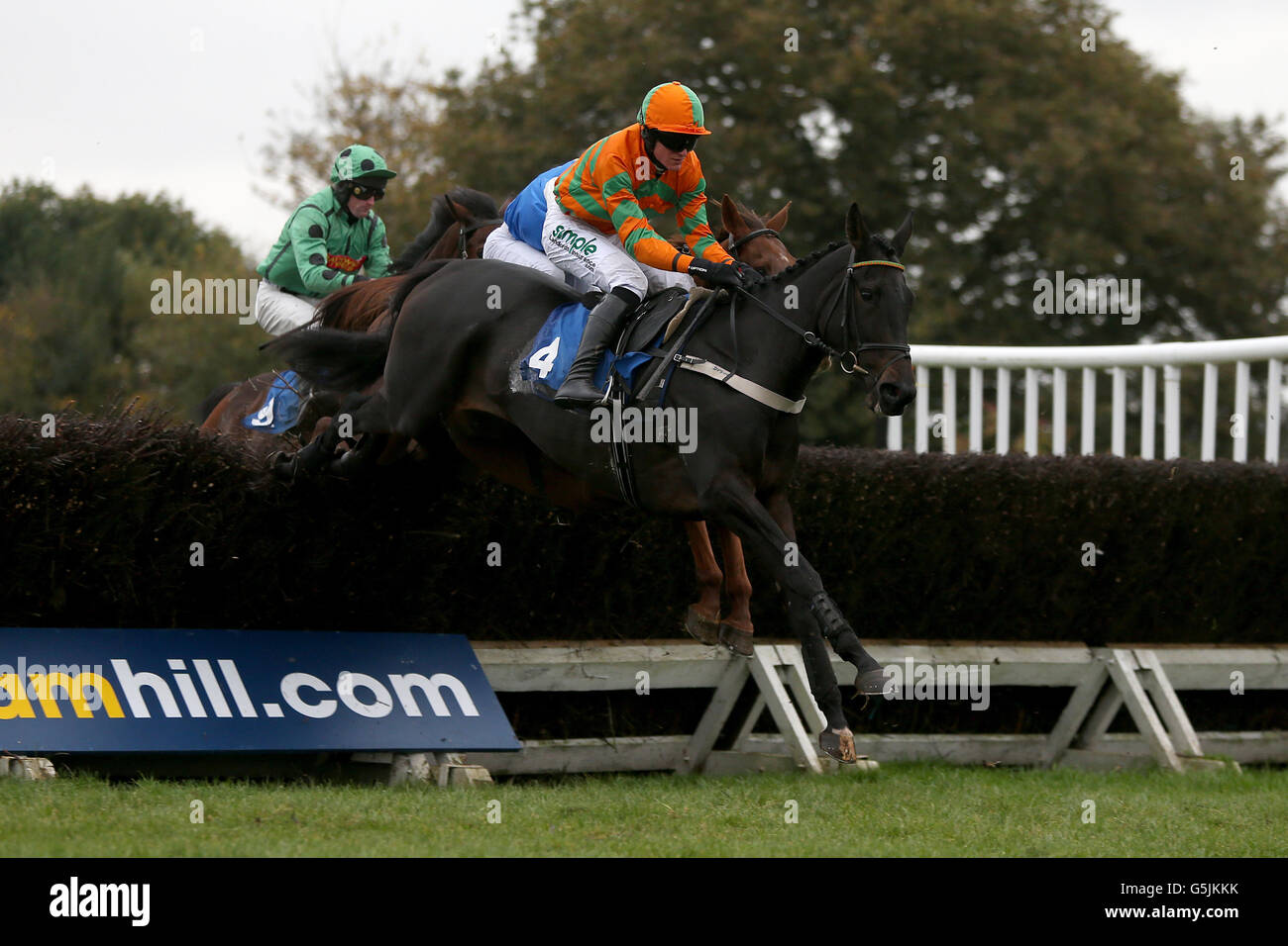 Horse Racing - Ludlow Racecourse Stock Photo - Alamy