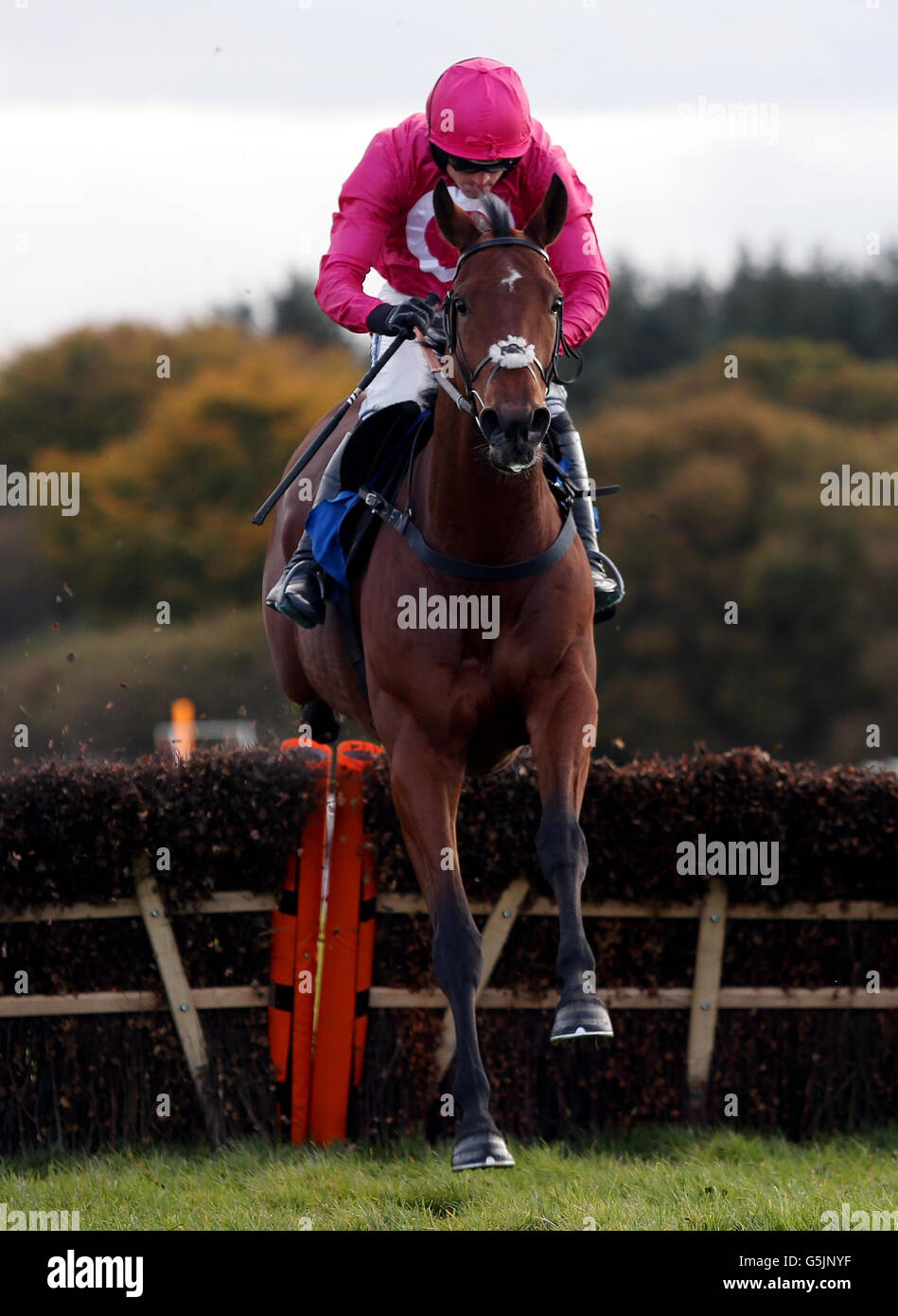 Kay coaches kent novices hurdle at exeter racecourse hi-res stock ...