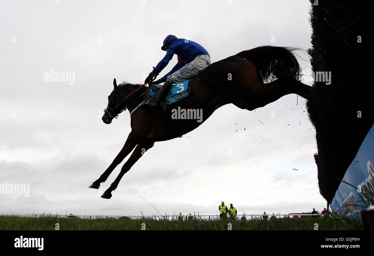 Chase at exeter racecourse hi-res stock photography and images - Alamy
