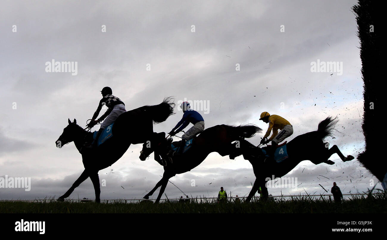 Horse Racing - Exeter Racecourse. Webbery's Dream leads from Cue Card ...