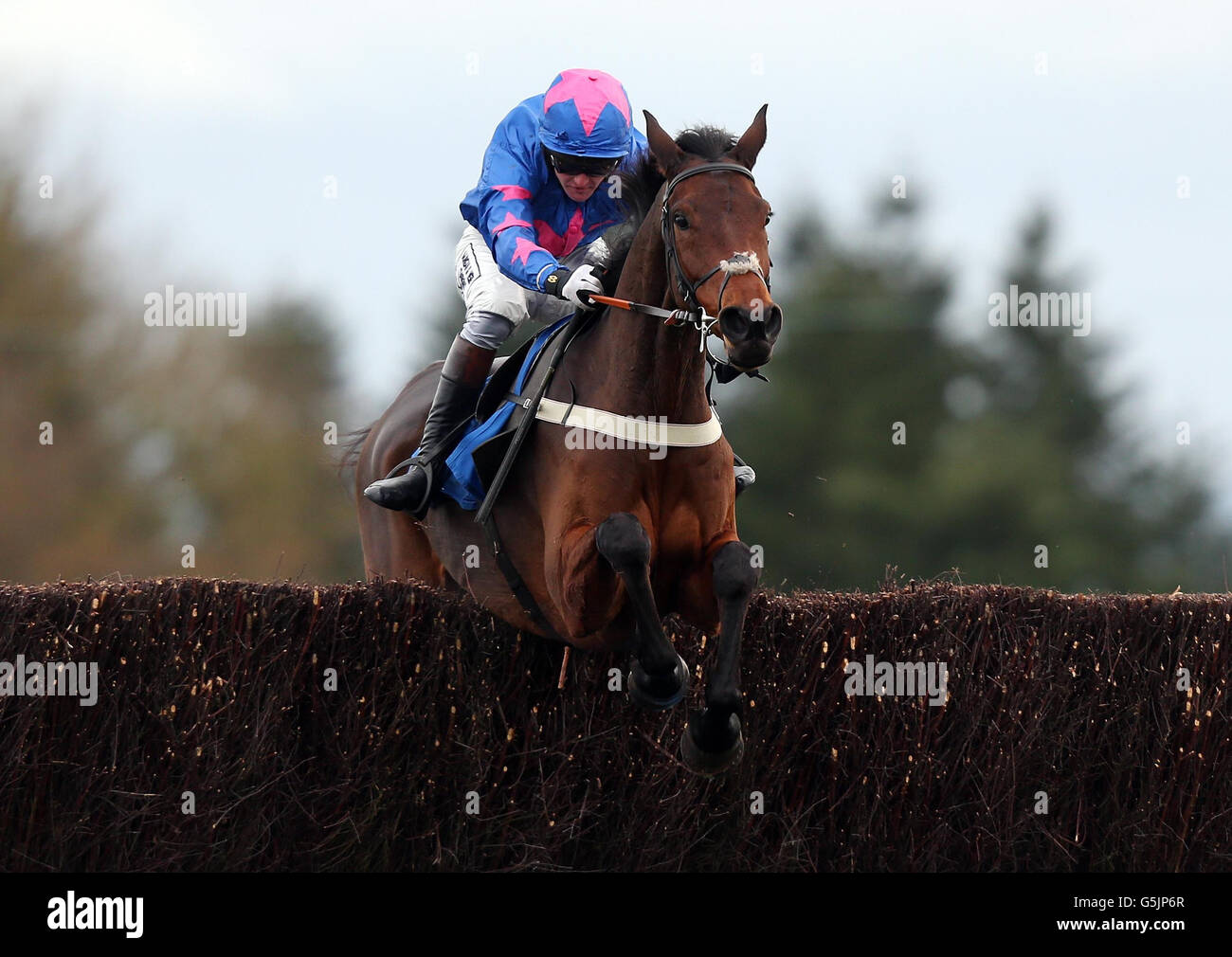 Theatre guide horse hi-res stock photography and images - Alamy