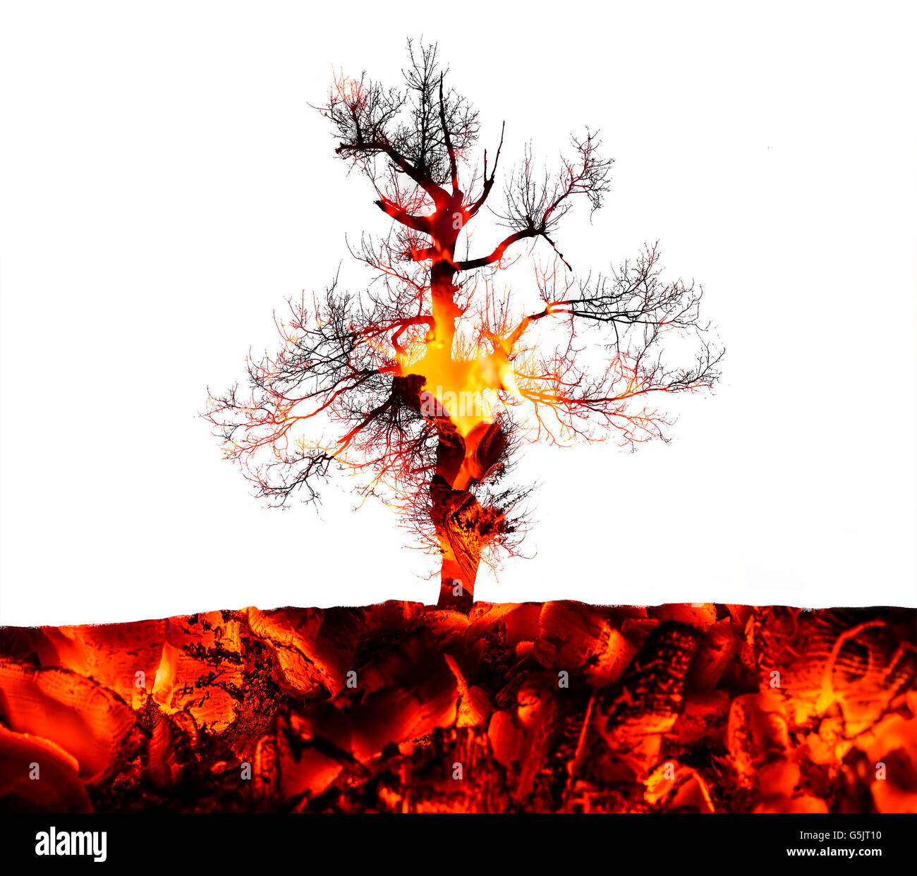 Tree Double exposed with a hot coal Stock Photo - Alamy