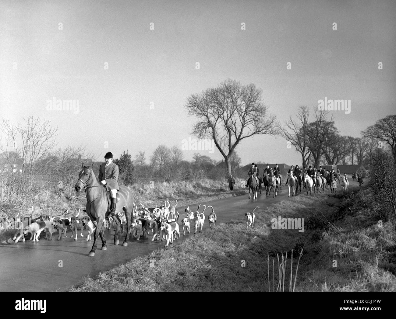 West Norfolk Hunt - Helhoughton Stock Photo - Alamy