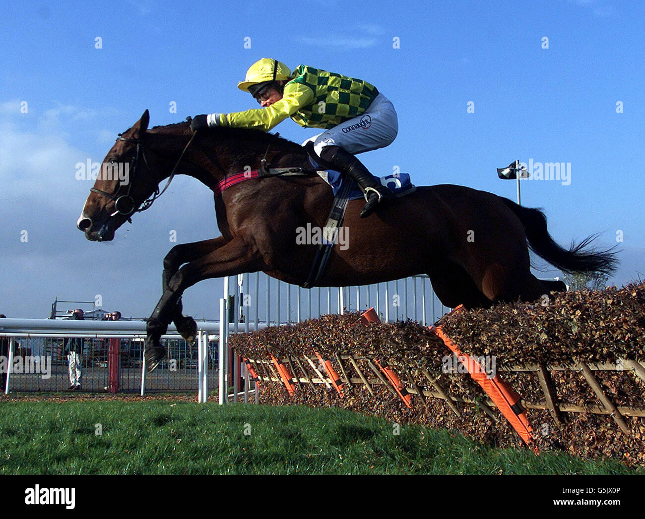 Timothy murphy hi-res stock photography and images - Alamy