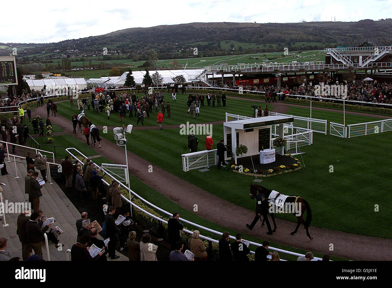 HORSERACING CHELTENHAM PARADE RING. General View of the Parade Ring at ...