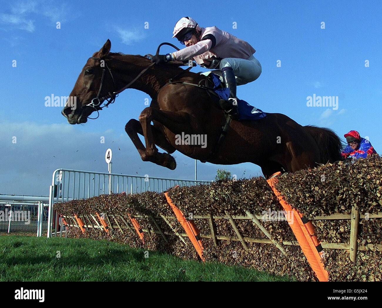Anthony mccoy hi-res stock photography and images - Alamy