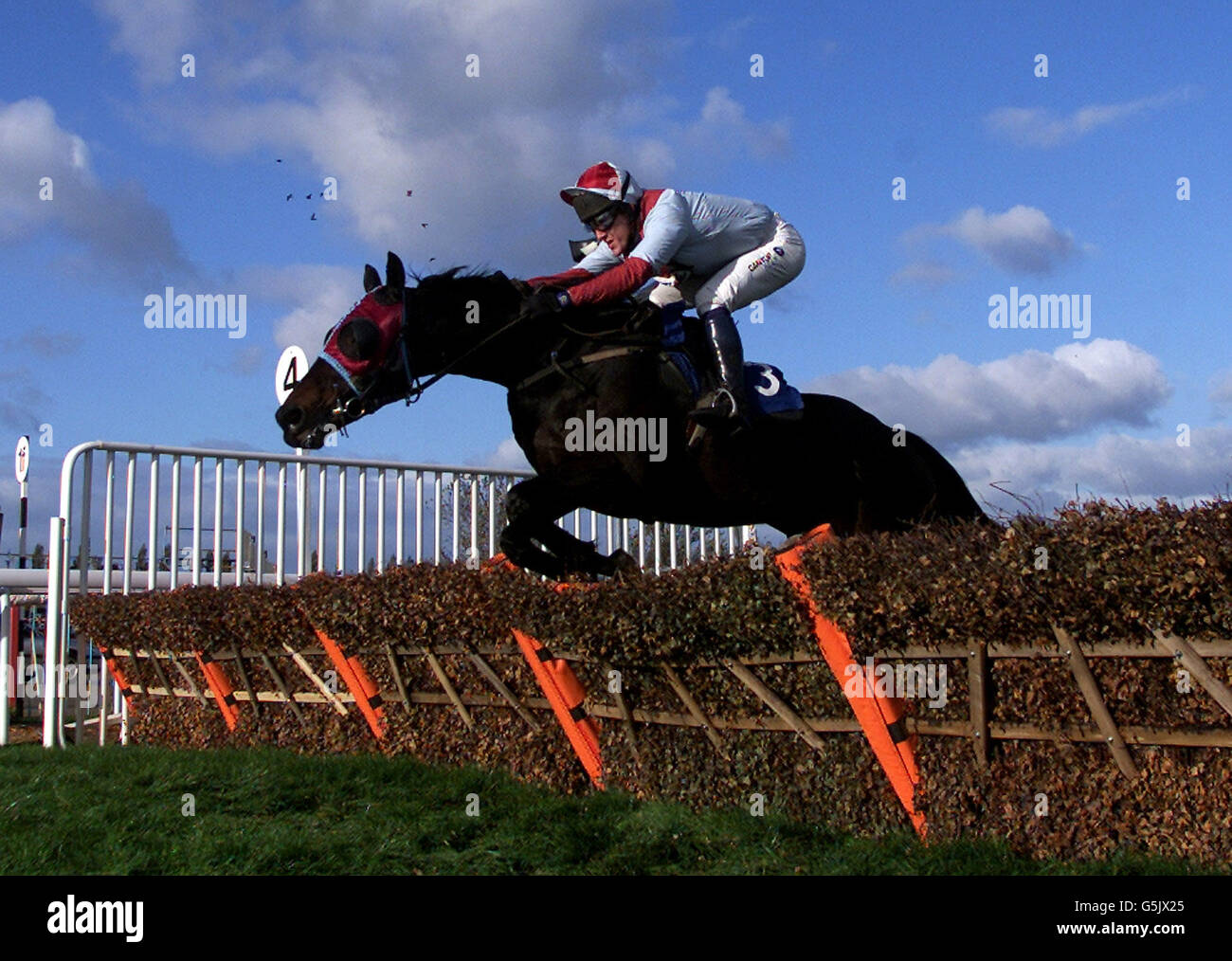 Anthony Peter McCoy riding Westender at Cheltenham races.. Photo David ...
