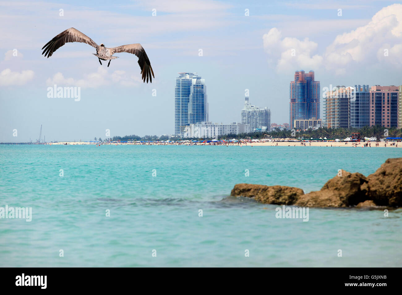 View of the South Beach shoreline in Miami, Florida Stock Photo - Alamy