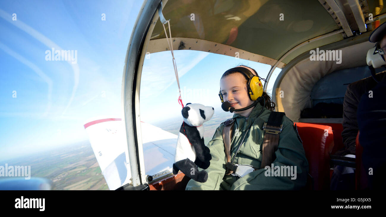 Nine-year-old Ellie Carter uses her toy panda China to conduct ...