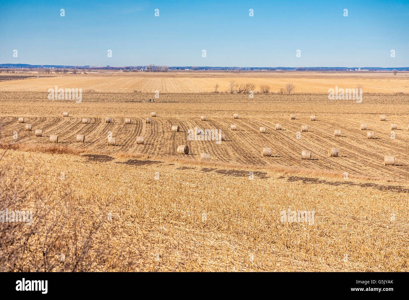 Hay bales in a field along the Iowa Byways Wilderness Loop between ...