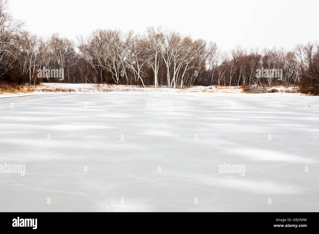 Nebraska tree hi-res stock photography and images - Alamy