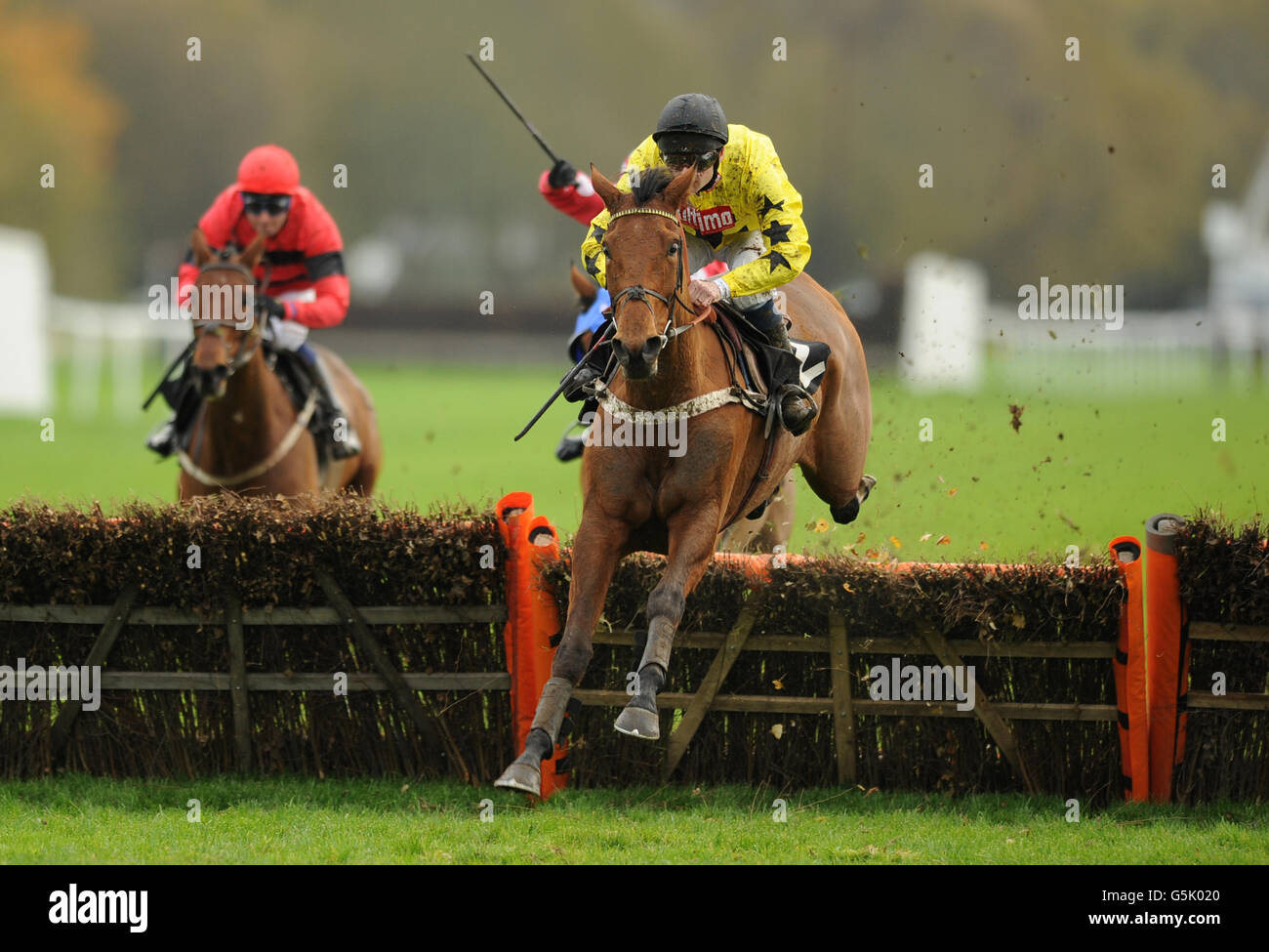 Horseracing races racecourse 10112 ampics hi-res stock photography and ...