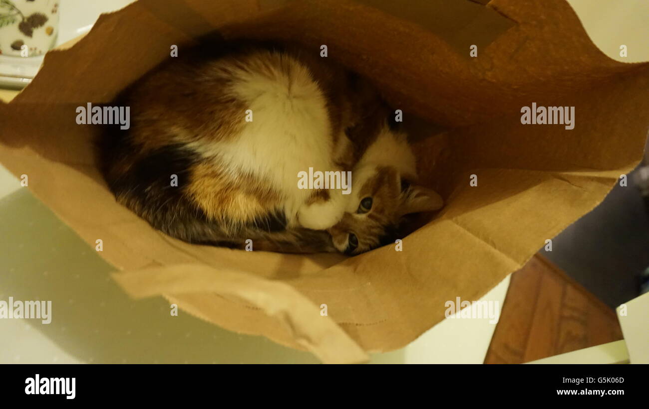 Well known phrase hi-res stock photography and images - Alamy