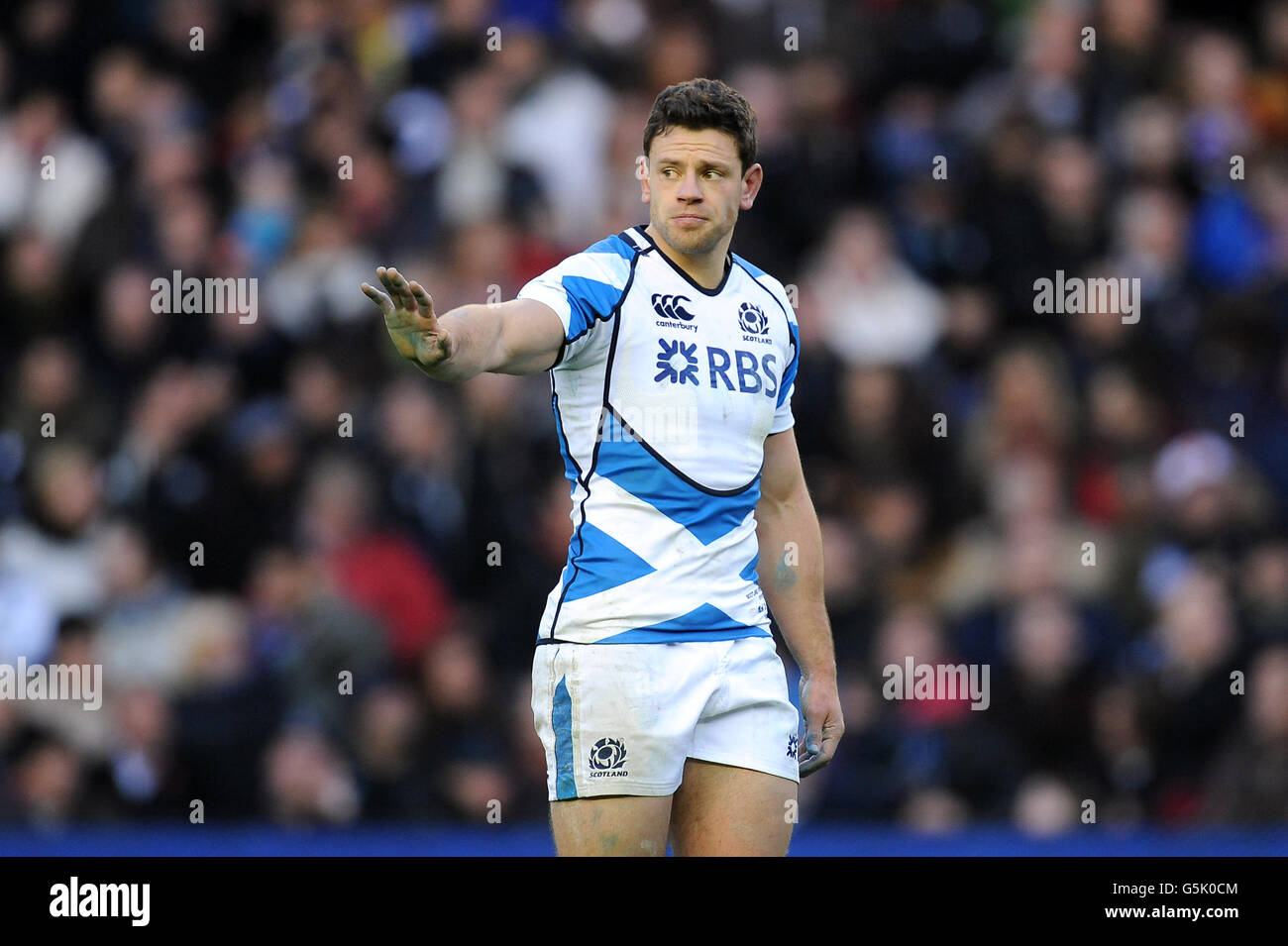 Rugby Union - EMC Test - Scotland v New Zealand - Murrayfield. Nick De ...