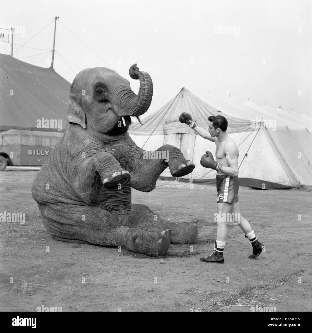 Billy smarts circus hi-res stock photography and images - Alamy