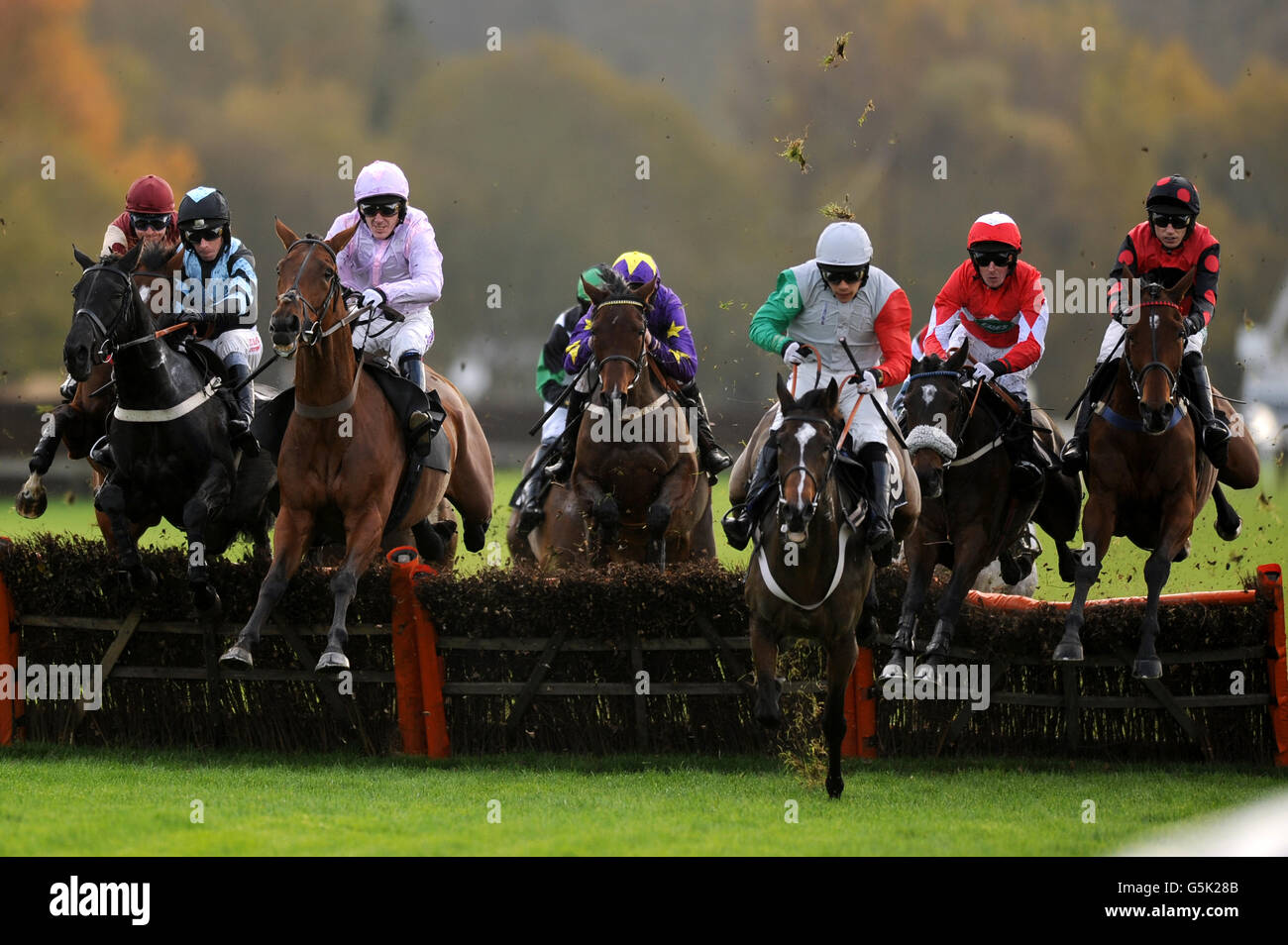 Horse Racing - Lingfield Park Races Stock Photo - Alamy