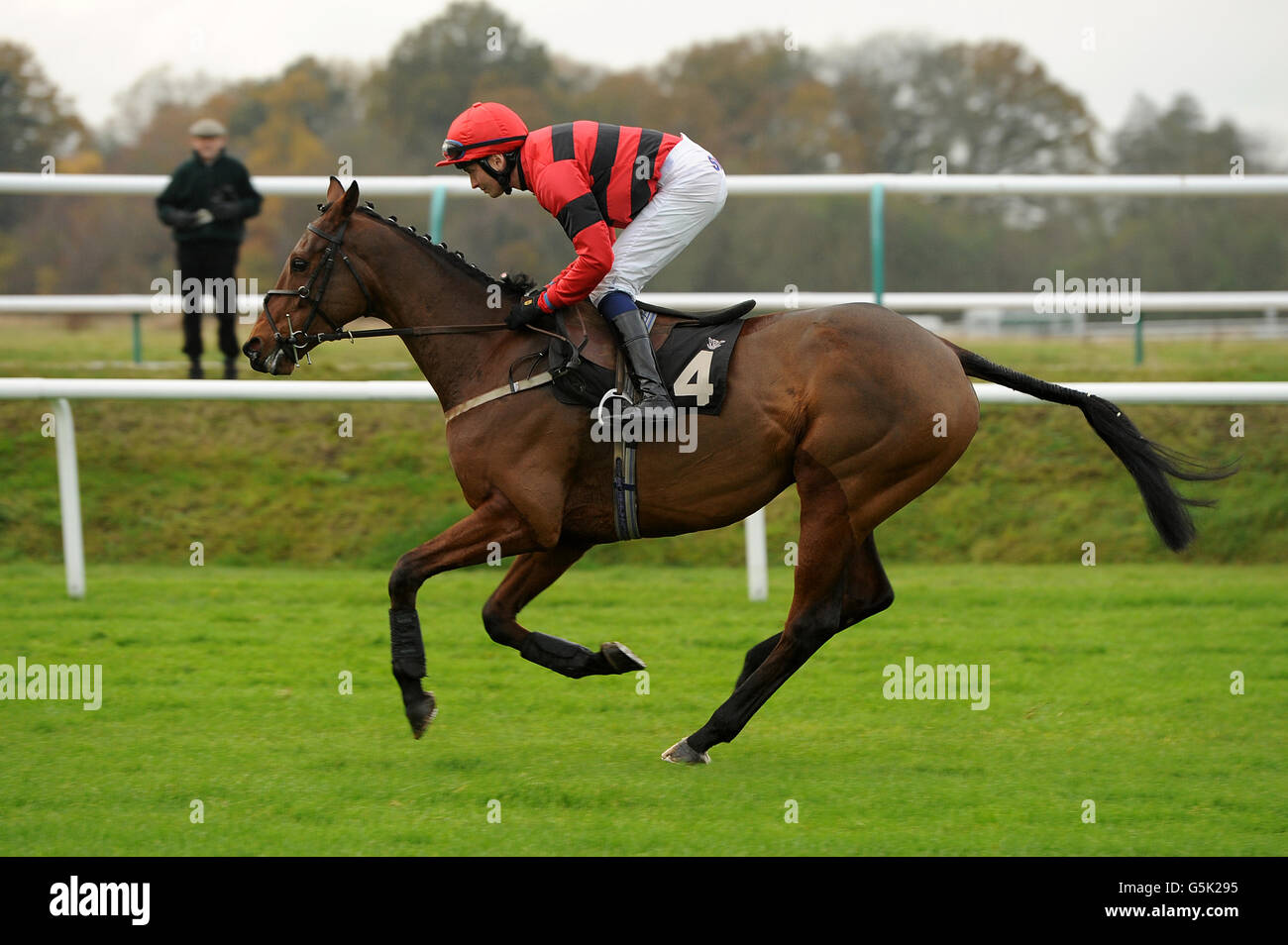 Horse Racing - Lingfield Park Races Stock Photo - Alamy
