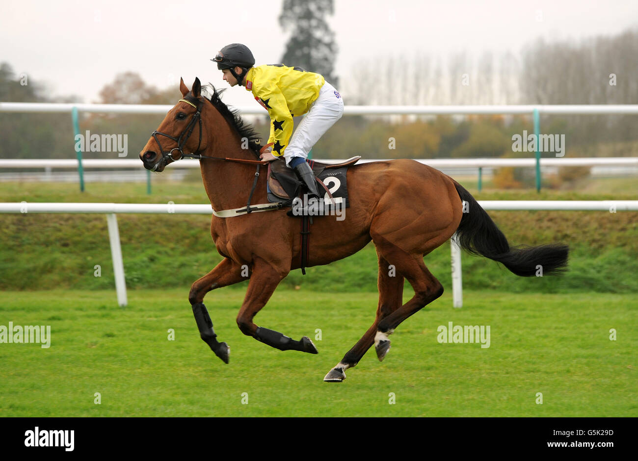 Horse Racing - Lingfield Park Races Stock Photo - Alamy