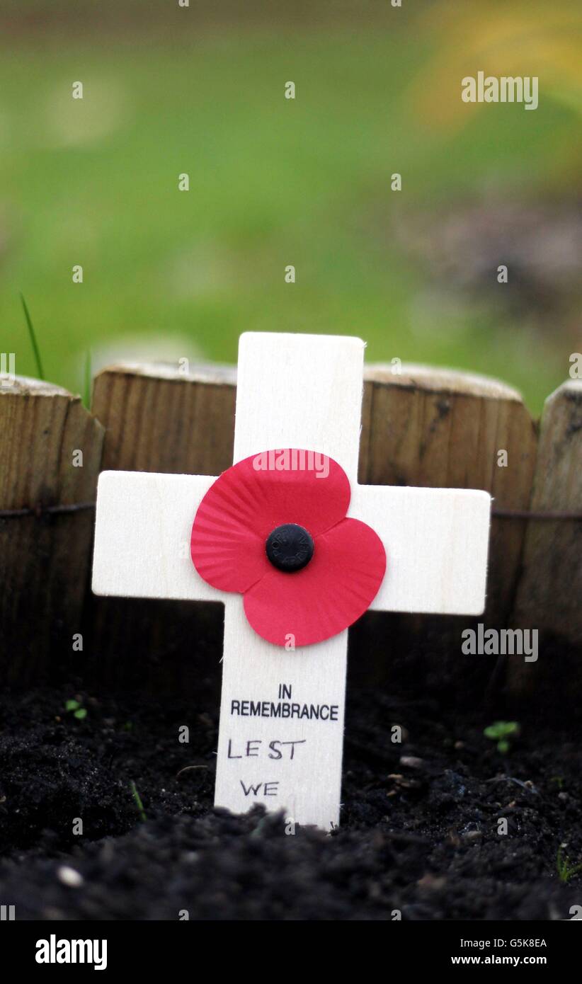 Remembrance crosses in memorial garden near raf brize norton hi-res ...
