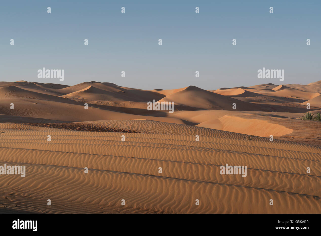 Sand dunes in desert landscape Stock Photo - Alamy