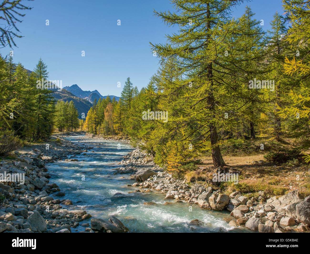 River and forest in remote landscape Stock Photo - Alamy