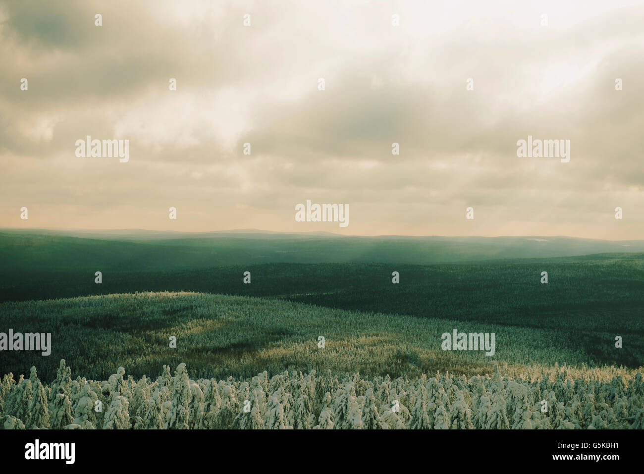 Forests in remote landscape Stock Photo - Alamy
