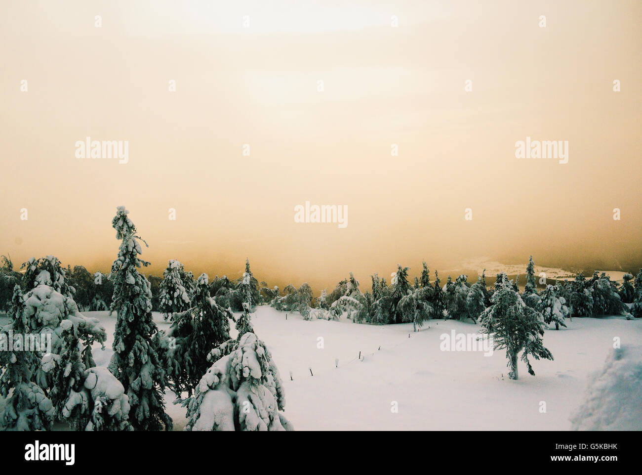 Remote mountain forest hi-res stock photography and images - Alamy