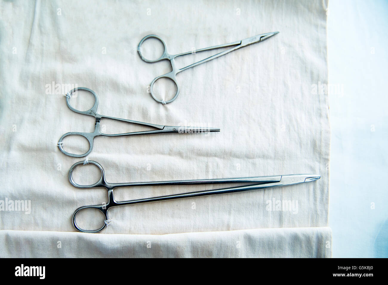 Forceps hi-res stock photography and images - Alamy