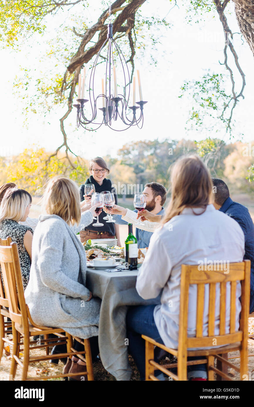 Friends toasting with wine at outdoor table Stock Photo - Alamy