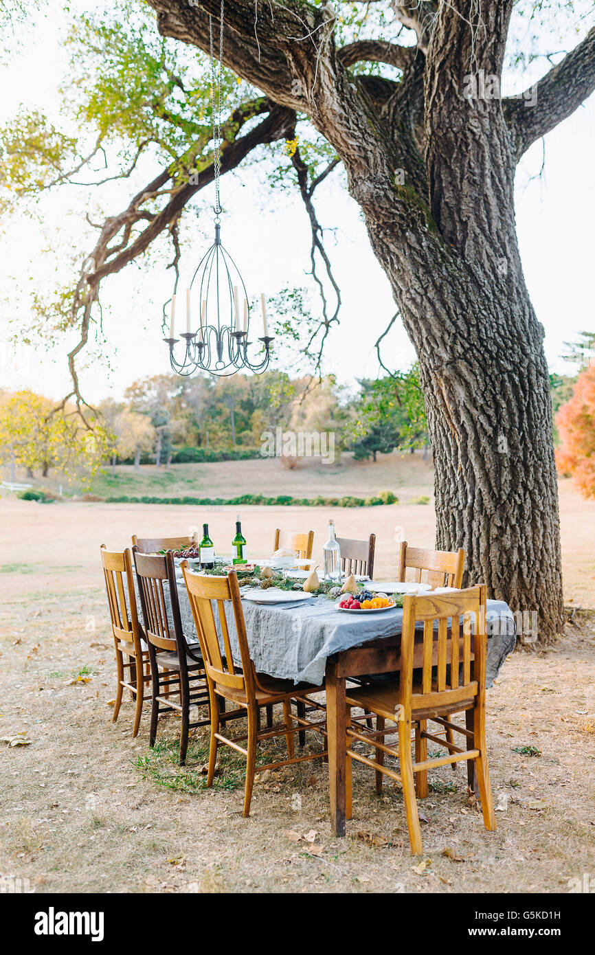 Empty dinner table in field Stock Photo - Alamy