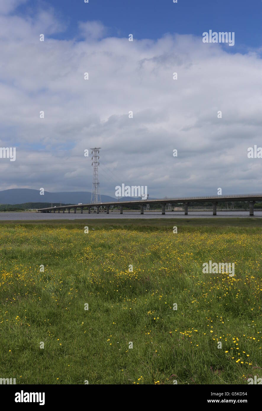 Clackmannanshire Bridge across Firth of Forth and north pylon of 400kV ...