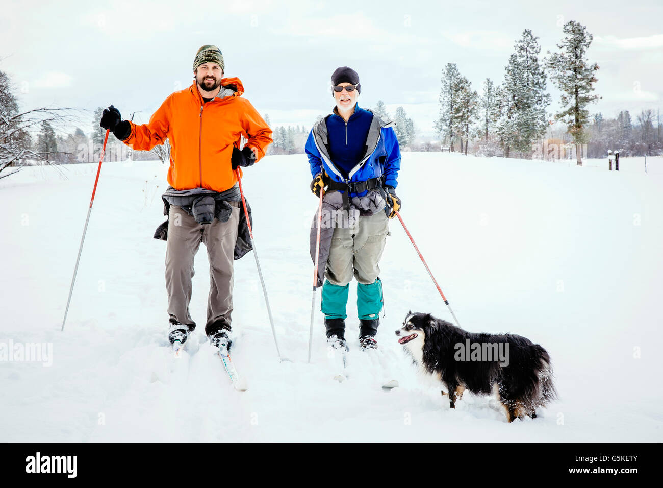 Caucasian couple and dog cross-country skiing in snowy field Stock ...