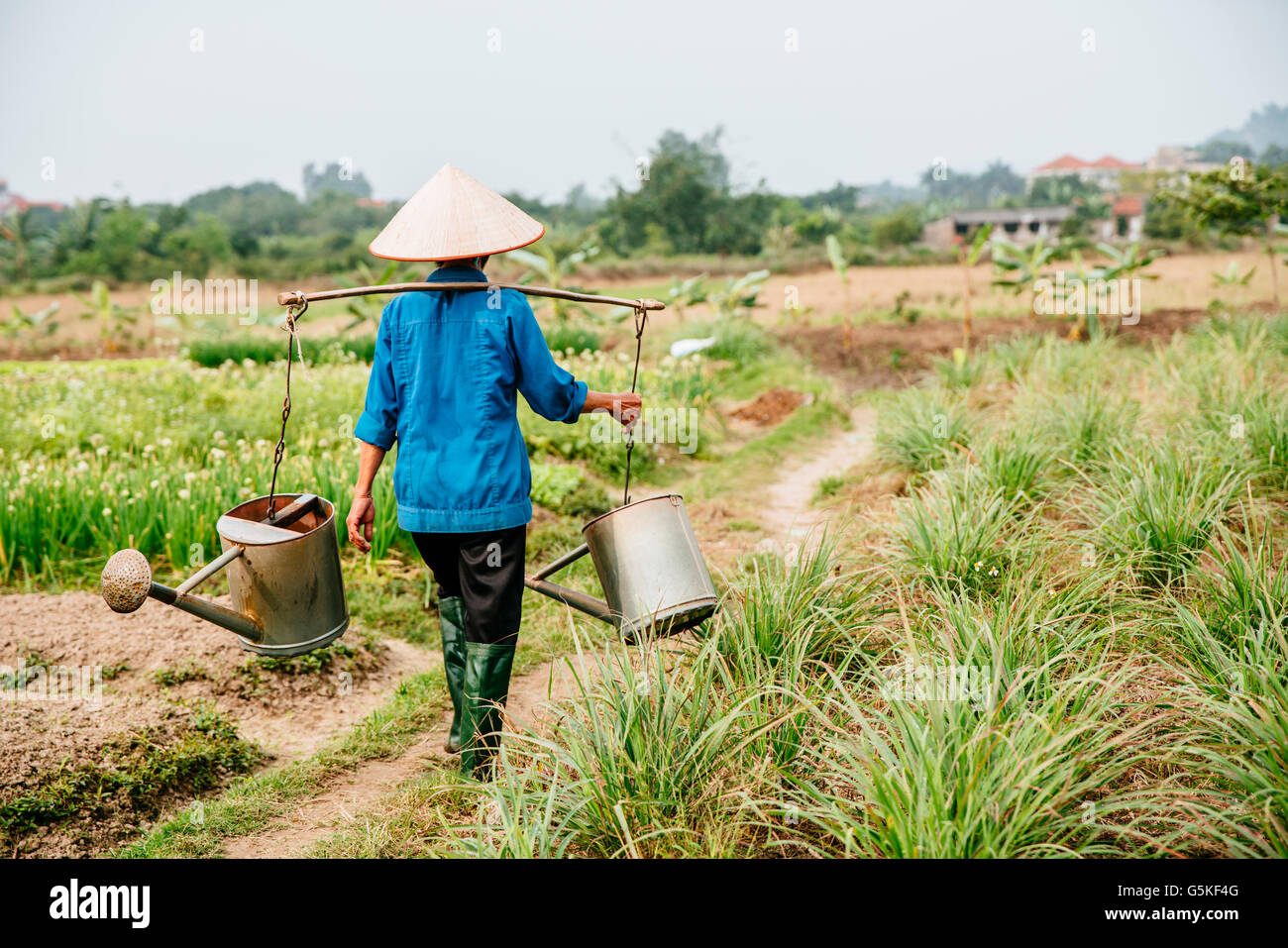 Balance water bucket hi-res stock photography and images - Alamy