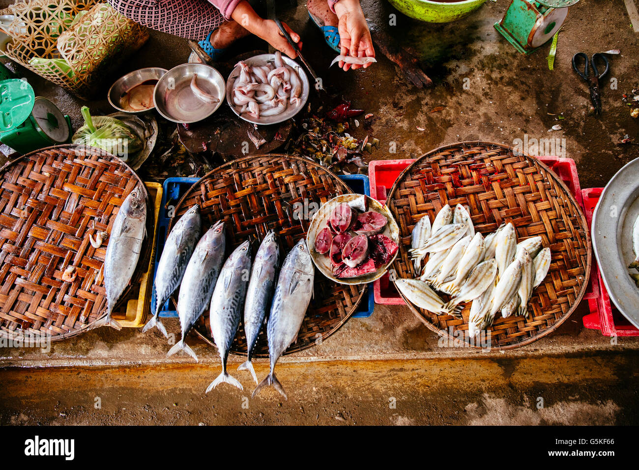 Women cleaning fish hi-res stock photography and images - Alamy