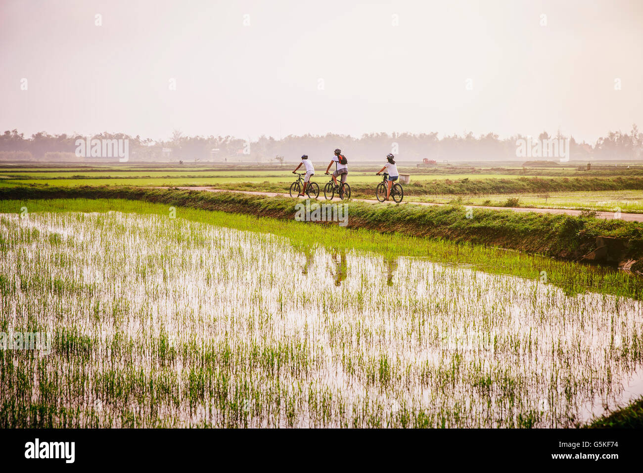 Tourists riding bicycles in rural landscape Stock Photo - Alamy
