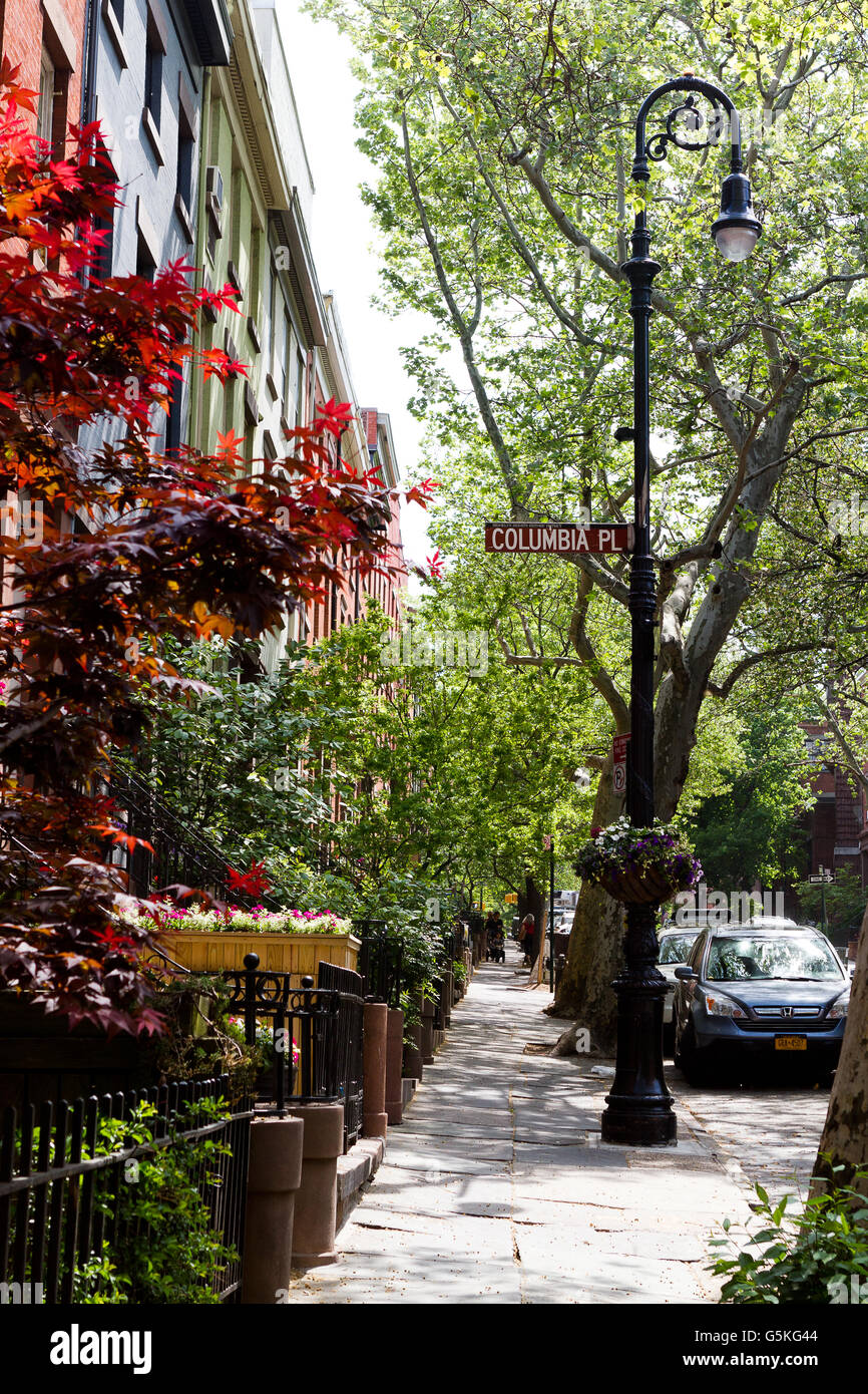 Rows brownstones trees in brooklyn hi-res stock photography and images ...