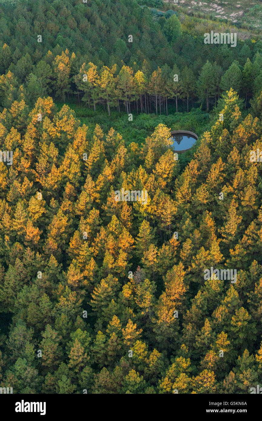 Aerial commercial forest plantation hi-res stock photography and images ...