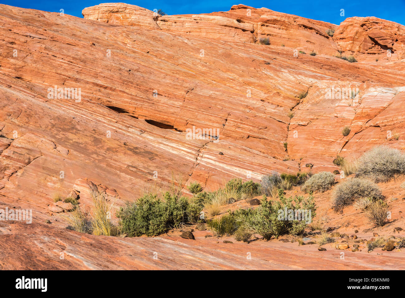 red rock formation landscape in the valley of fire, nv Stock Photo - Alamy